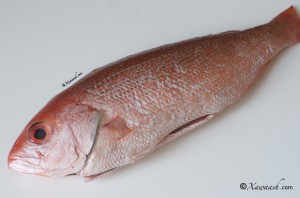 Fried Fish (Kalluun La Shiilay) Poisson Frit السمك المقلي – Xawaash.com
